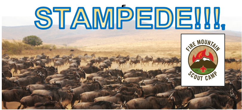 Stampede is coming! - Mount Baker Council, Scouting America